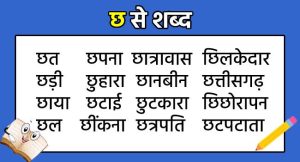 536+ छ से शब्द और वाक्य - Chha Se Shabd in Hindi